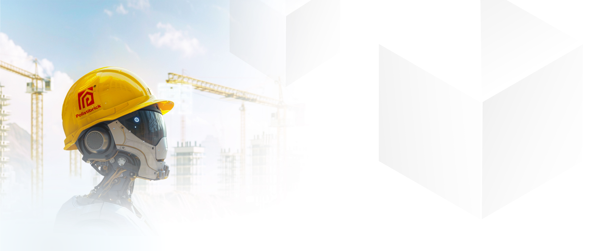 Acasa - Polistibrick Romania